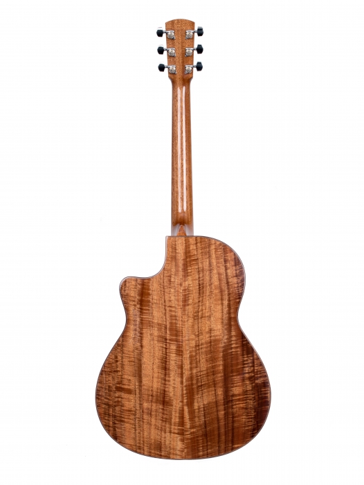 NAMM 2018 - Archives & Artifacts - Larrivée Guitars